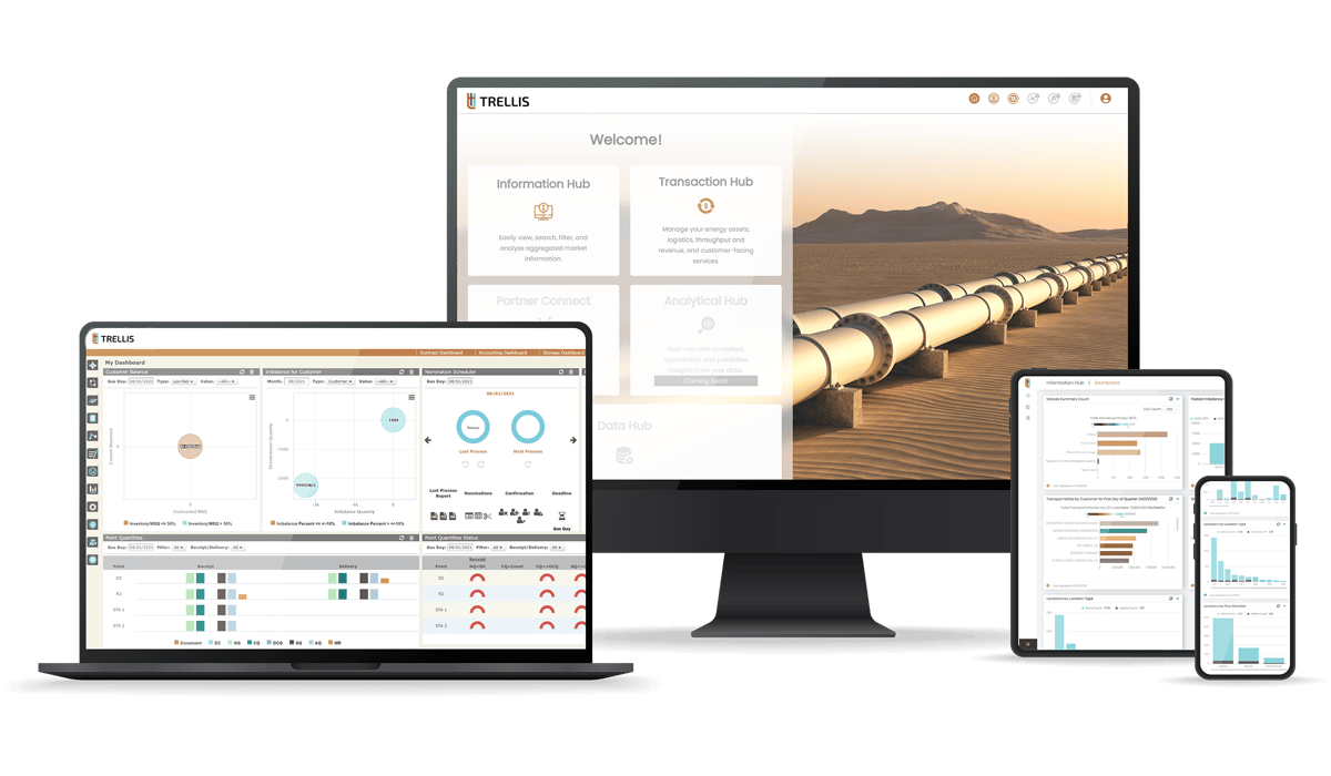 The Natural Gas Supply Chain Digital Marketplace | Trellis Energy